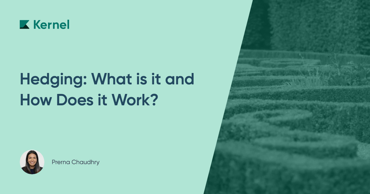 Kernel Wealth | Hedging: What is it and How Does it Work?
